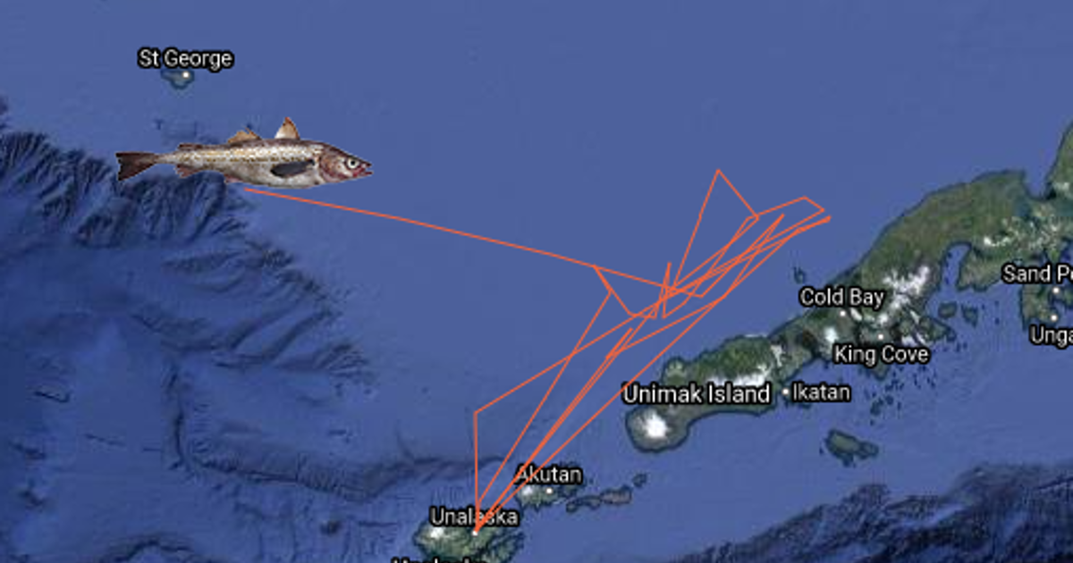American Seafoods Shows Where We Fish with Interactive Map